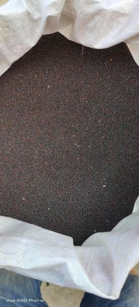 油菜种子怎么选_油菜种子价格多少钱一斤-第3张图片-山城妙识