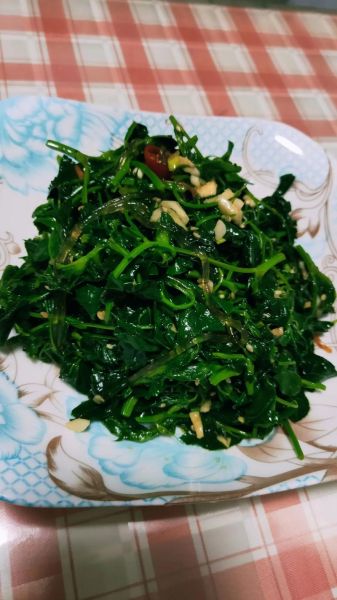 苜蓿菜图片_苜蓿菜怎么做好吃-第2张图片-山城妙识