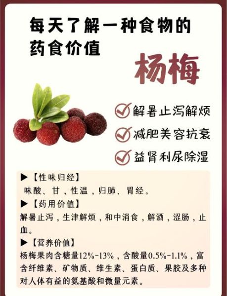 杨梅对人体有什么好处_杨梅的功效与作用-第1张图片-山城妙识 杨梅对人体有什么好处_杨梅的功效与作用-第1张图片-山城妙识