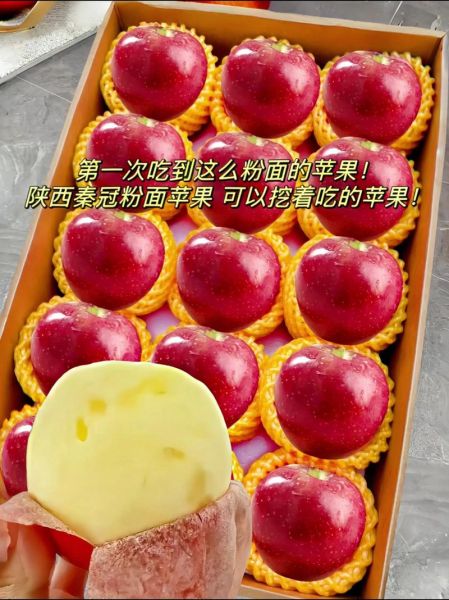 苹果面粉最简单的做法_苹果面粉怎么做才好吃-第3张图片-山城妙识 苹果面粉最简单的做法_苹果面粉怎么做才好吃-第3张图片-山城妙识