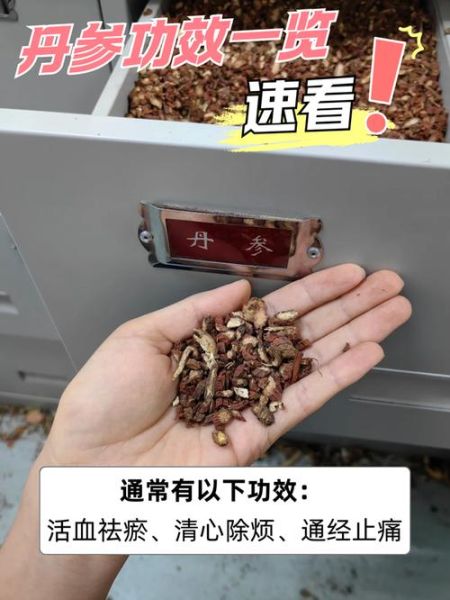 丹参的功效与作用及副作用有哪些_如何正确服用丹参-第2张图片-山城妙识 丹参的功效与作用及副作用有哪些_如何正确服用丹参-第2张图片-山城妙识