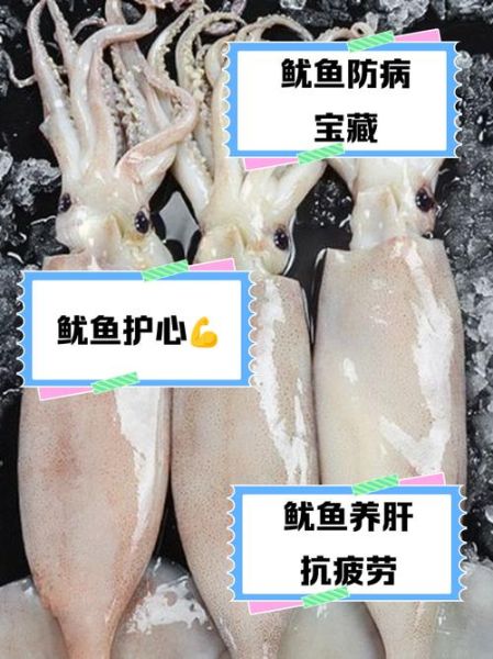鱿鱼的营养价值及功效_孕妇能吃鱿鱼吗-第1张图片-山城妙识 鱿鱼的营养价值及功效_孕妇能吃鱿鱼吗-第1张图片-山城妙识