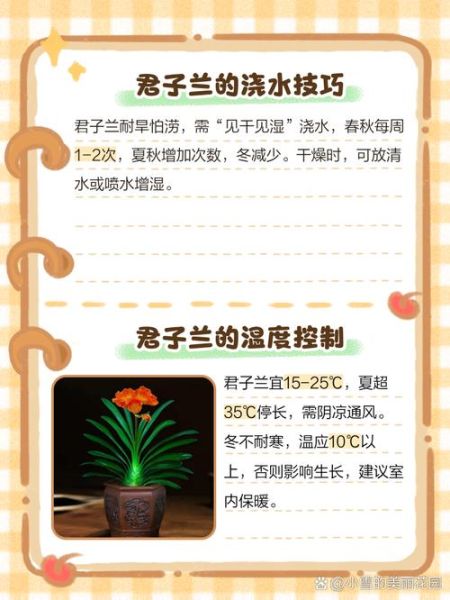 君子兰怎么养_君子兰养殖注意事项-第1张图片-山城妙识 君子兰怎么养_君子兰养殖注意事项-第1张图片-山城妙识