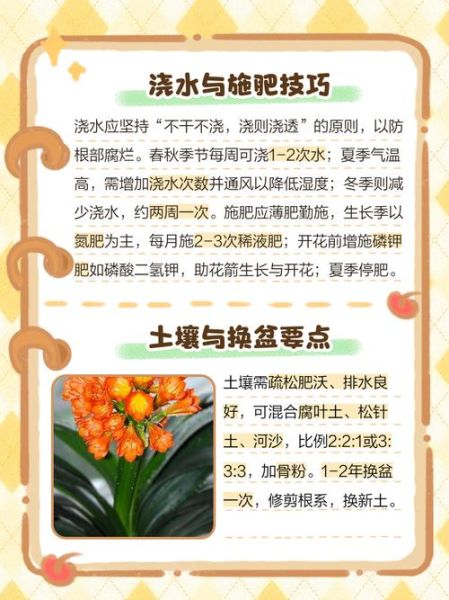 君子兰怎么养_君子兰养殖注意事项-第3张图片-山城妙识 君子兰怎么养_君子兰养殖注意事项-第3张图片-山城妙识