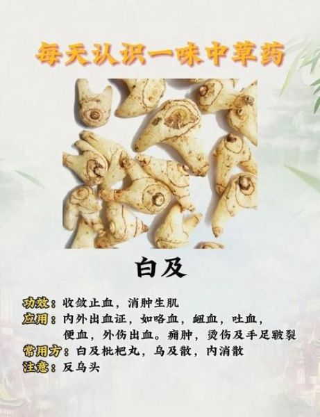 白芨治胃病怎么服用_白芨治胃病多久见效-第3张图片-山城妙识