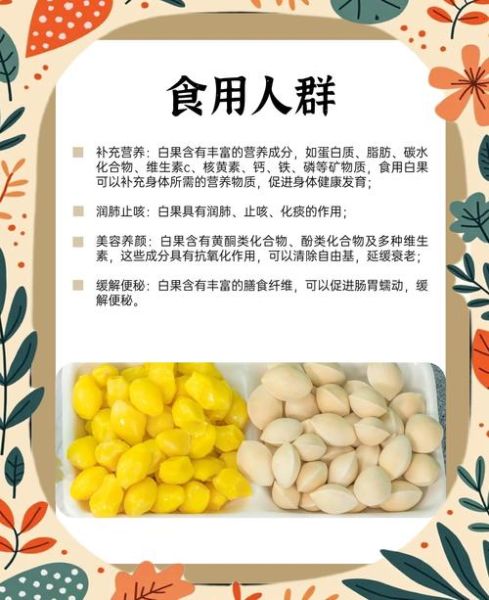 男人吃白果有什么好处_白果对男性性功能有效吗-第1张图片-山城妙识 男人吃白果有什么好处_白果对男性性功能有效吗-第1张图片-山城妙识