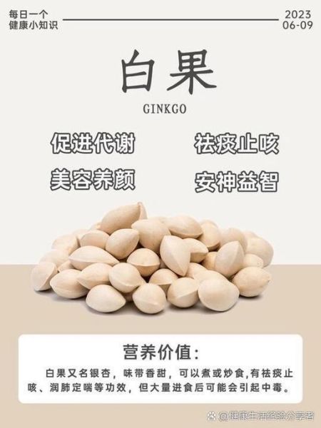 男人吃白果有什么好处_白果对男性性功能有效吗-第2张图片-山城妙识 男人吃白果有什么好处_白果对男性性功能有效吗-第2张图片-山城妙识