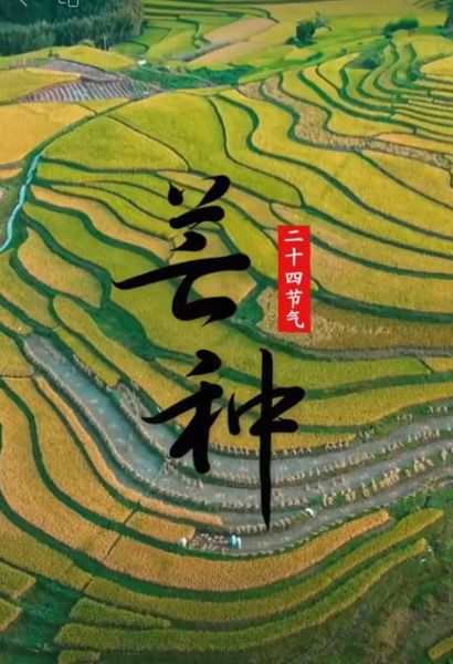 芒种吃什么传统食物_芒种节气必吃清单-第3张图片-山城妙识