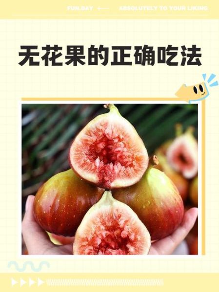 无花果怎么吃_无花果的正确吃法-第3张图片-山城妙识