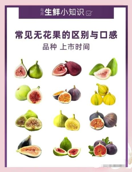 无花果怎么吃_无花果的正确吃法-第2张图片-山城妙识