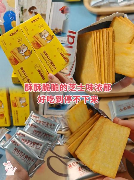 芝士网下载安装教程_芝士网下载安全吗-第2张图片-山城妙识