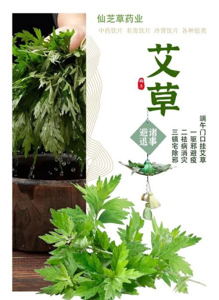 艾叶有几个品种_艾叶图片识别方法-第3张图片-山城妙识