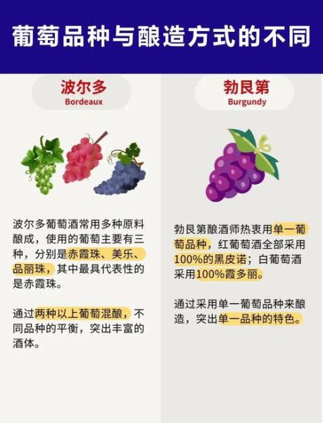 法国葡萄酒等级如何划分_波尔多与勃艮第区别在哪-第3张图片-山城妙识 法国葡萄酒等级如何划分_波尔多与勃艮第区别在哪-第3张图片-山城妙识