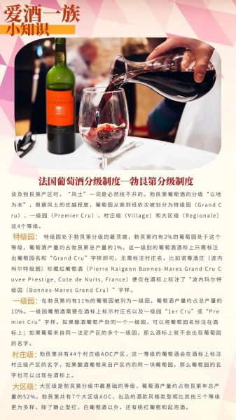 法国葡萄酒等级如何划分_波尔多与勃艮第区别在哪-第2张图片-山城妙识 法国葡萄酒等级如何划分_波尔多与勃艮第区别在哪-第2张图片-山城妙识