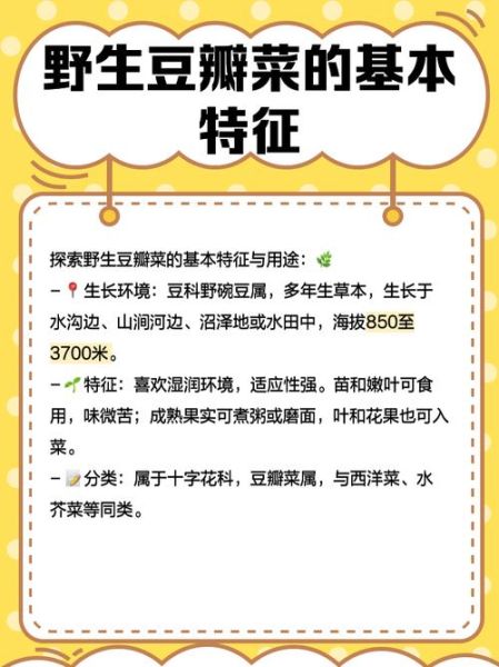 豆瓣菜什么时候种植_豆瓣菜种植季节-第3张图片-山城妙识 豆瓣菜什么时候种植_豆瓣菜种植季节-第3张图片-山城妙识