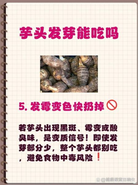 芋头放久了发芽能吃吗_芋头发芽有毒吗-第2张图片-山城妙识