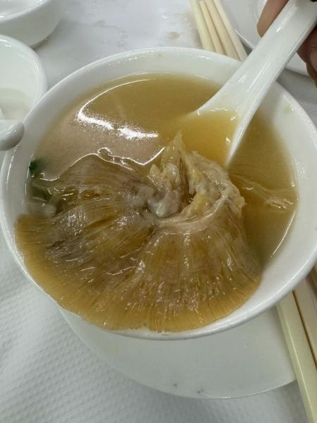 鱼翅怎么炖最好_鱼翅炖多久才软烂-第2张图片-山城妙识