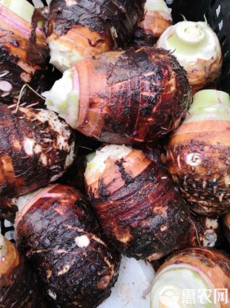 香芋图片怎么拍好看_香芋图片拍摄技巧-第3张图片-山城妙识 香芋图片怎么拍好看_香芋图片拍摄技巧-第3张图片-山城妙识