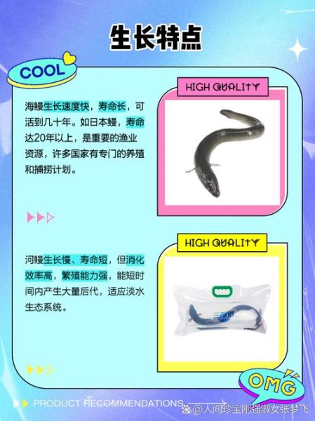 野生河鳗怎么分辨_野生河鳗和养殖的区别-第1张图片-山城妙识