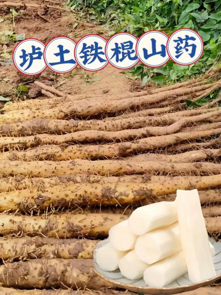 炒铁棍山药怎么做好吃_铁棍山药去皮后变黑怎么办-第3张图片-山城妙识