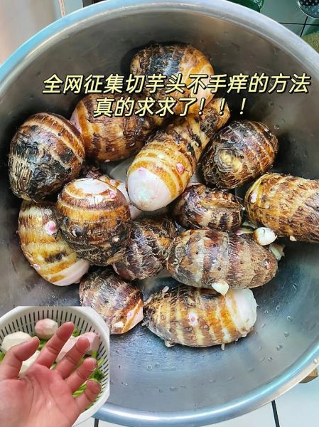 洗芋头手痒怎么快速止痒_芋头手痒简单处理方法-第2张图片-山城妙识