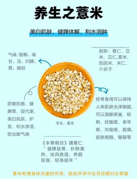 薏米仁怎么吃去湿气_薏米仁去湿气正确吃法-第1张图片-山城妙识
