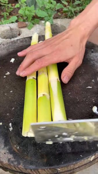 新鲜竹笋怎么切_竹笋切片技巧-第1张图片-山城妙识 新鲜竹笋怎么切_竹笋切片技巧-第1张图片-山城妙识