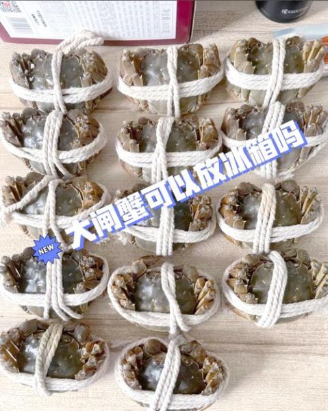 活海蟹怎么保存_活海蟹能放冰箱冷藏吗-第1张图片-山城妙识