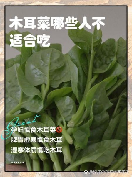 吃木耳菜不能和什么一起吃_木耳菜禁忌人群有哪些-第1张图片-山城妙识 吃木耳菜不能和什么一起吃_木耳菜禁忌人群有哪些-第1张图片-山城妙识