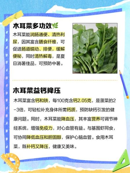 吃木耳菜不能和什么一起吃_木耳菜禁忌人群有哪些-第2张图片-山城妙识 吃木耳菜不能和什么一起吃_木耳菜禁忌人群有哪些-第2张图片-山城妙识