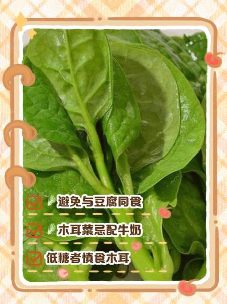 吃木耳菜不能和什么一起吃_木耳菜禁忌人群有哪些-第3张图片-山城妙识 吃木耳菜不能和什么一起吃_木耳菜禁忌人群有哪些-第3张图片-山城妙识