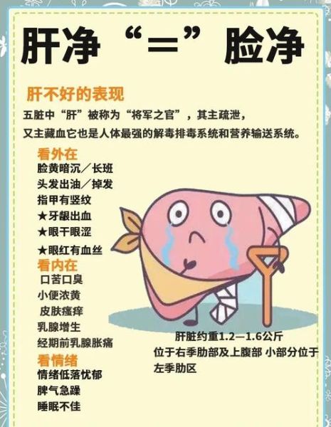 女人养肝的最好方法_女人肝不好吃什么调理-第1张图片-山城妙识