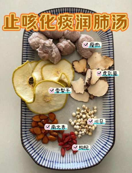 虎乳菌炖汤的做法大全_虎乳菌炖汤的功效与禁忌-第1张图片-山城妙识