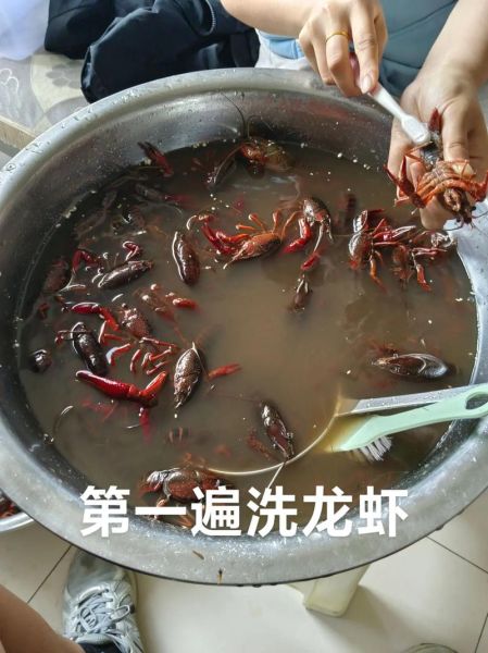 小龙虾怎么清洗_小龙虾正确做法视频-第2张图片-山城妙识 小龙虾怎么清洗_小龙虾正确做法视频-第2张图片-山城妙识