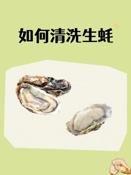 生蚝怎么处理干净_生蚝清洗的正确步骤-第3张图片-山城妙识 生蚝怎么处理干净_生蚝清洗的正确步骤-第3张图片-山城妙识
