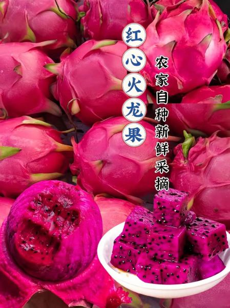 红心火龙果能减肥吗_红心火龙果的功效与作用-第2张图片-山城妙识 红心火龙果能减肥吗_红心火龙果的功效与作用-第2张图片-山城妙识