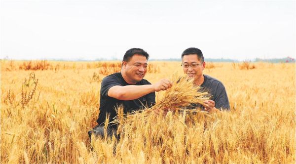 行唐县疙瘩头村怎么去_行唐县疙瘩头村有什么特产-第2张图片-山城妙识 行唐县疙瘩头村怎么去_行唐县疙瘩头村有什么特产-第2张图片-山城妙识