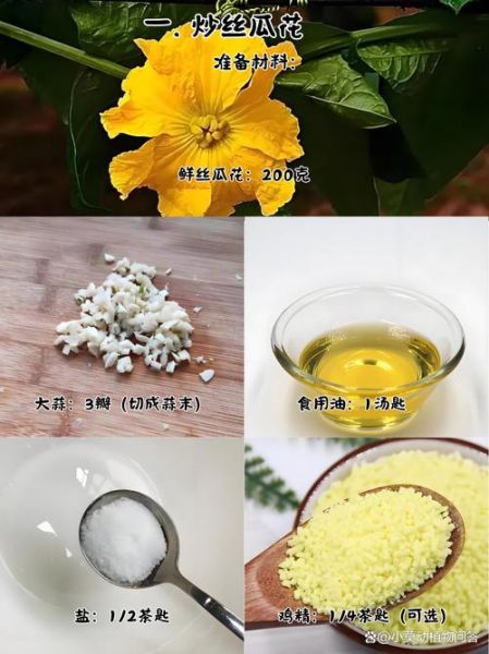 丝瓜花怎么吃_丝瓜花做法大全-第1张图片-山城妙识 丝瓜花怎么吃_丝瓜花做法大全-第1张图片-山城妙识