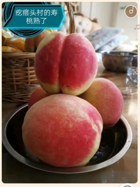 行唐县疙瘩头村怎么去_行唐县疙瘩头村有什么特产-第3张图片-山城妙识 行唐县疙瘩头村怎么去_行唐县疙瘩头村有什么特产-第3张图片-山城妙识