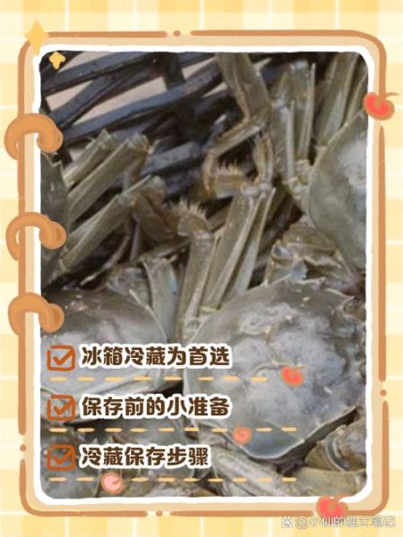 螃蟹死了立马放冷冻还能吃吗_如何正确保存-第1张图片-山城妙识