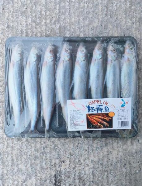 多春鱼价格多少钱一斤_多春鱼多少钱一斤-第1张图片-山城妙识