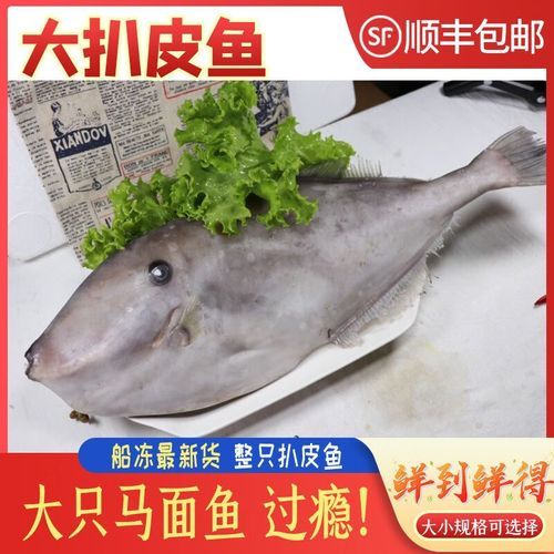 橡皮鱼怎么剥皮_橡皮鱼剥皮技巧-第3张图片-山城妙识