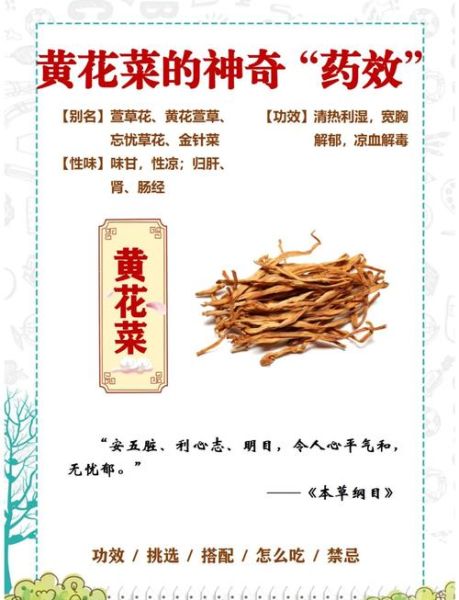 黄花菜的功效与作用禁忌_什么人不能吃-第1张图片-山城妙识 黄花菜的功效与作用禁忌_什么人不能吃-第1张图片-山城妙识