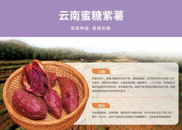紫薯原产地是哪里_紫薯为什么叫紫薯-第1张图片-山城妙识