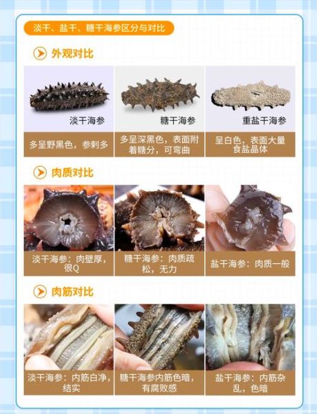 山东海参和辽参的区别_哪个好-第2张图片-山城妙识