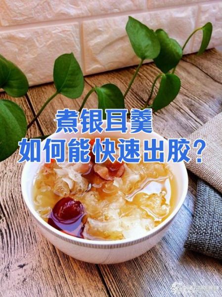 银耳怎么煮出胶_银耳怎么吃最营养-第3张图片-山城妙识
