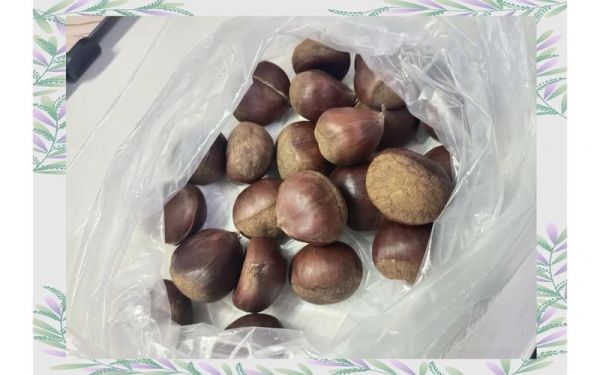 板栗怎么煮好吃_水煮板栗的正确方法-第3张图片-山城妙识