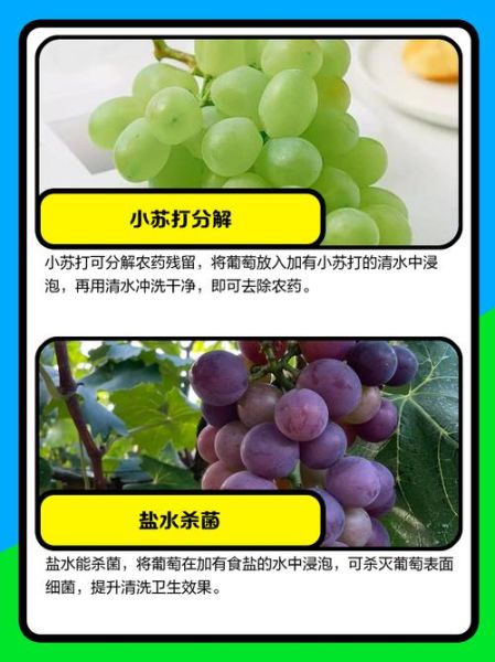 如何清洗葡萄_葡萄怎么洗才干净-第2张图片-山城妙识