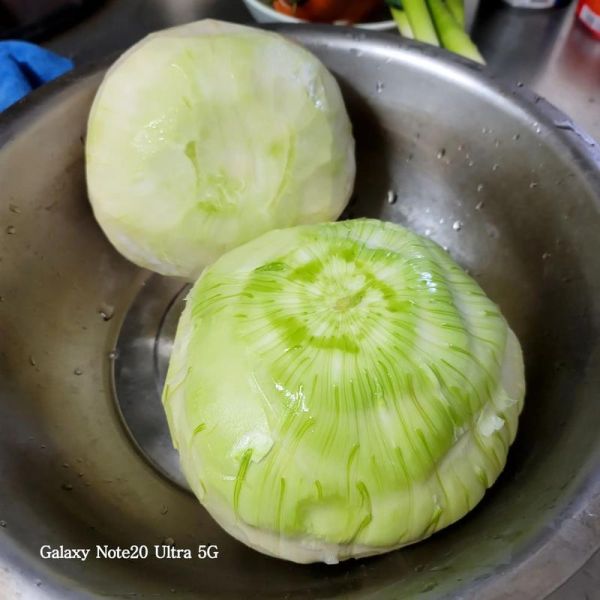 芥兰头怎么做好吃_芥兰头图片长什么样-第1张图片-山城妙识