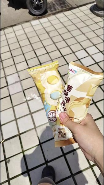 为什么中国雪糕这么贵_哪些雪糕品牌最贵-第3张图片-山城妙识